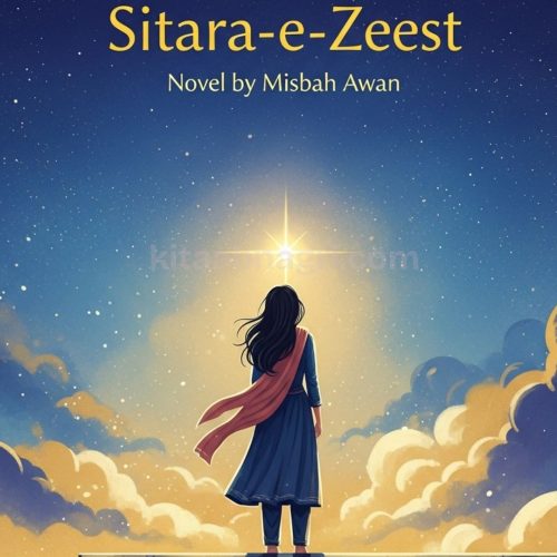 Bismil Urdu Novel By Mehrunnisa Shahmeer